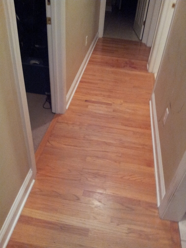 Three North Carolina Cops First Taze, Pin Down, & and Then Shoot to ...